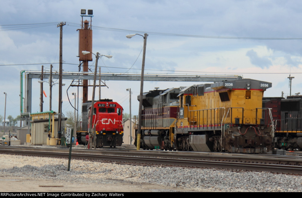 IC 3137 CN 2036 NS 1074